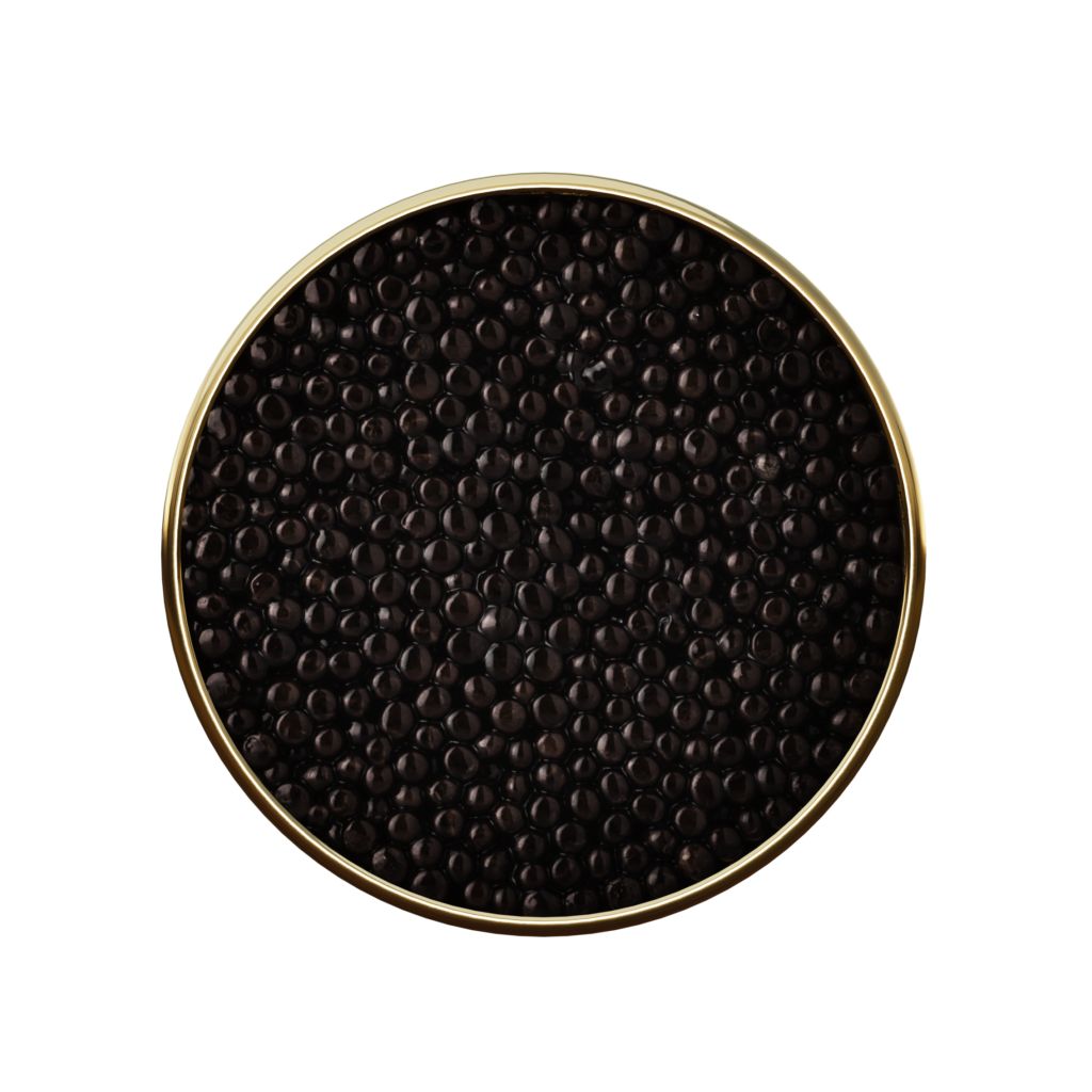 Baerii Caviar 500g, 6 stjerner | Køb verdensklasse caviar fra Antonius ...