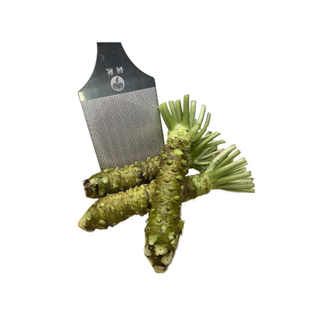 Frisk wasabi – japansk wasabi fra Japan (flere størrelser) – Yeschef